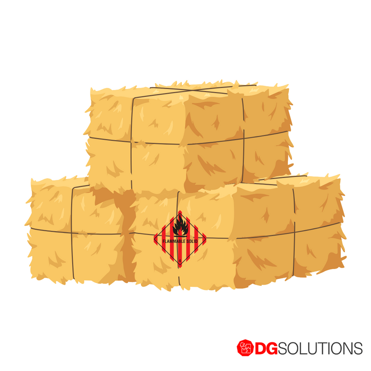 What Are Class 4 Dangerous Goods? | DG Solutions Australia